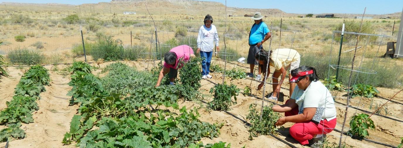 This Week at First Nations: June 25, 2021 | First Nations Development ...