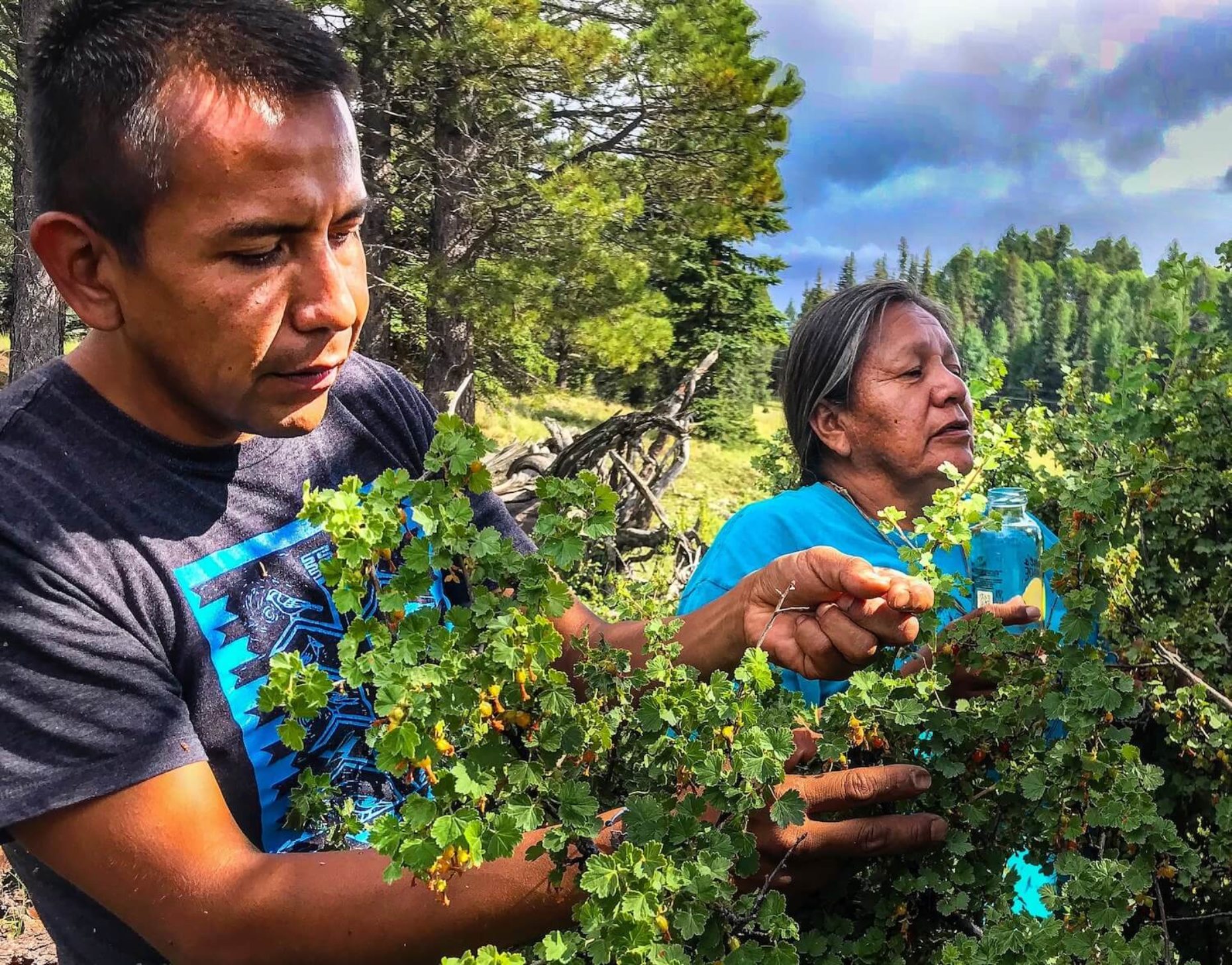 Standard Donation Page | First Nations Development Institute