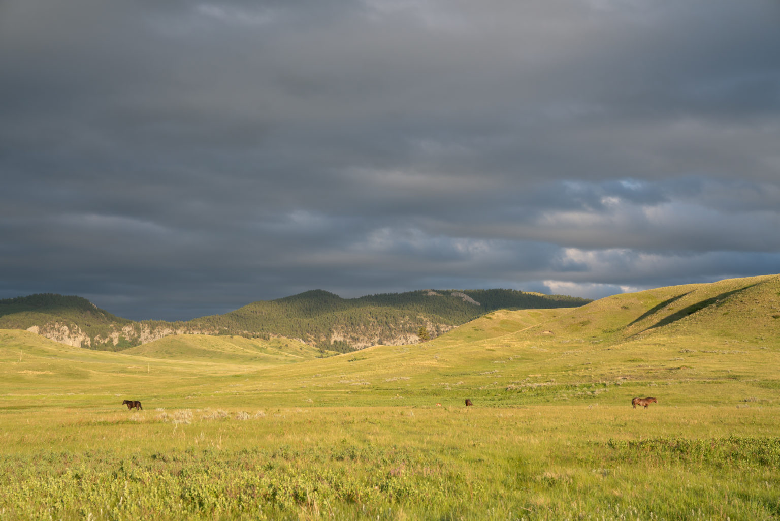 Tribal Tourism in Montana | First Nations Development Institute