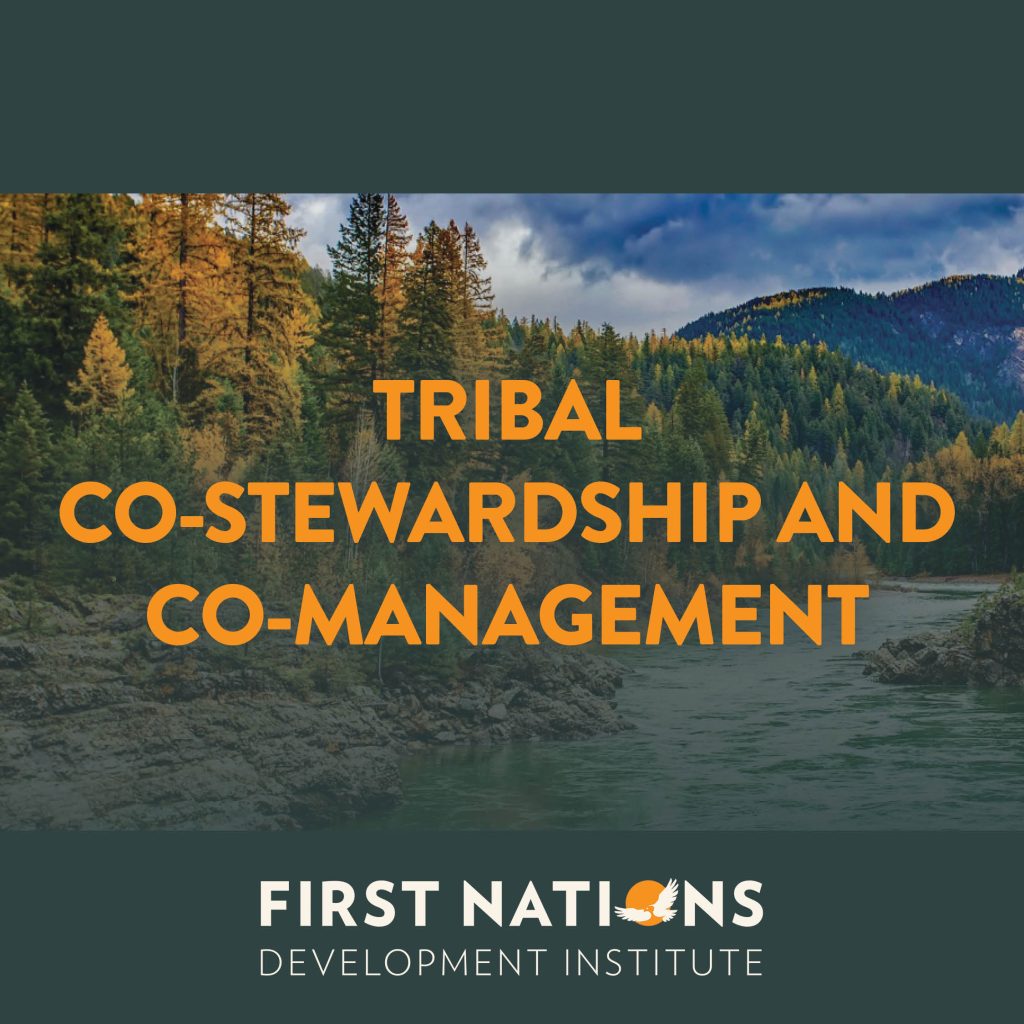 This Week at First Nations: February 7, 2025 | First Nations ...