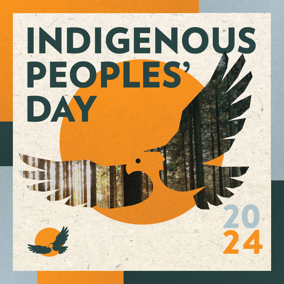 This Week at First Nations: October 11, 2024 | First Nations ...