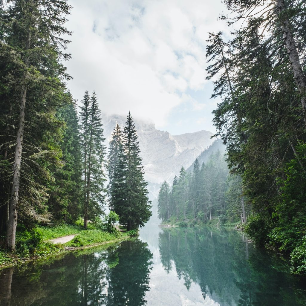 Community Navigator Project | First Nations Development Institute
