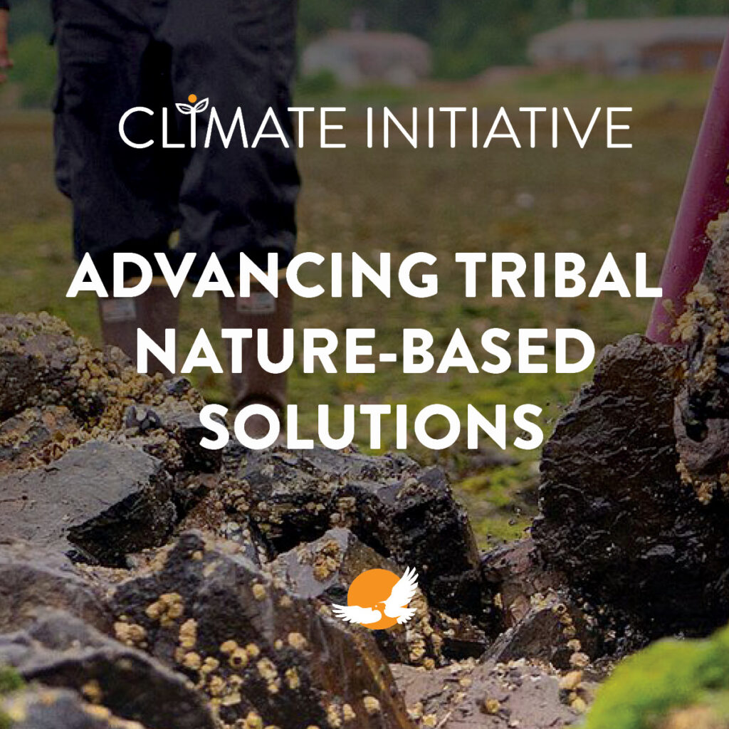 Advancing Tribal Nature-Based Solutions | First Nations Development ...