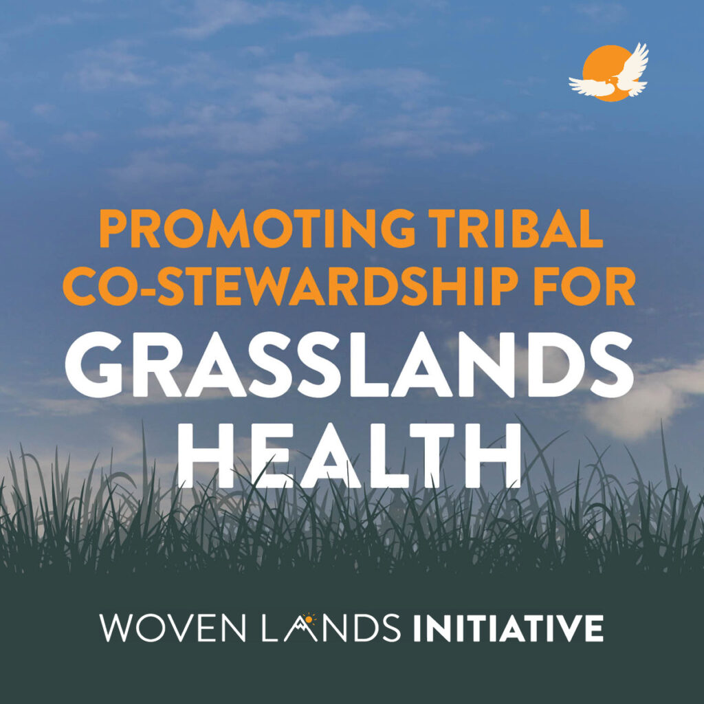 Promoting Tribal Co-Stewardship for Grasslands Health | First Nations ...